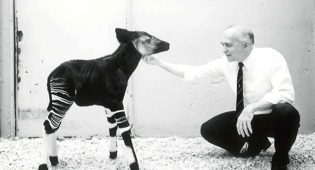 Interviews | Zoo & Aquarium Video Archive