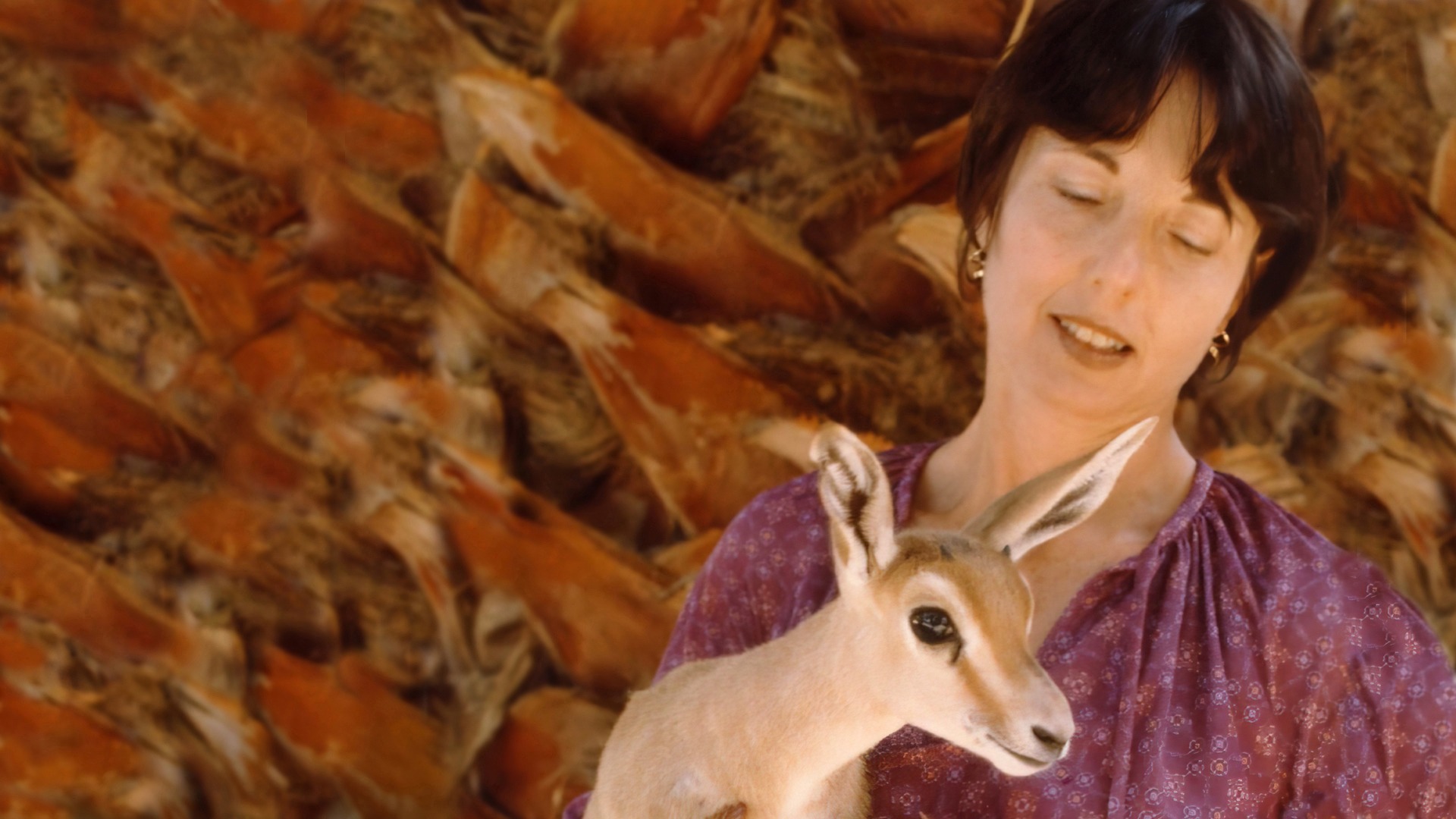 Karen Sausman Interview | Zoo & Aquarium Video Archive