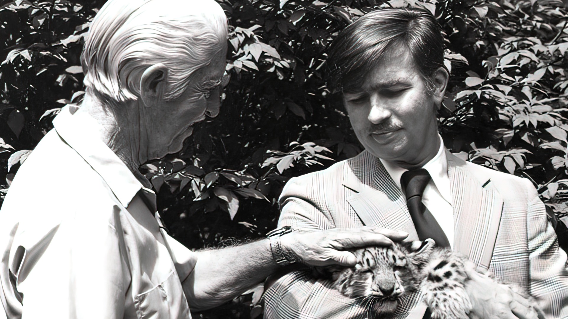 William G. Conway Interview | Zoo & Aquarium Video Archive
