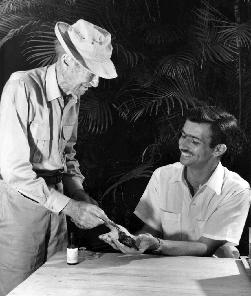 Bronx Zoo Gallery | Zoo & Aquarium Video Archive