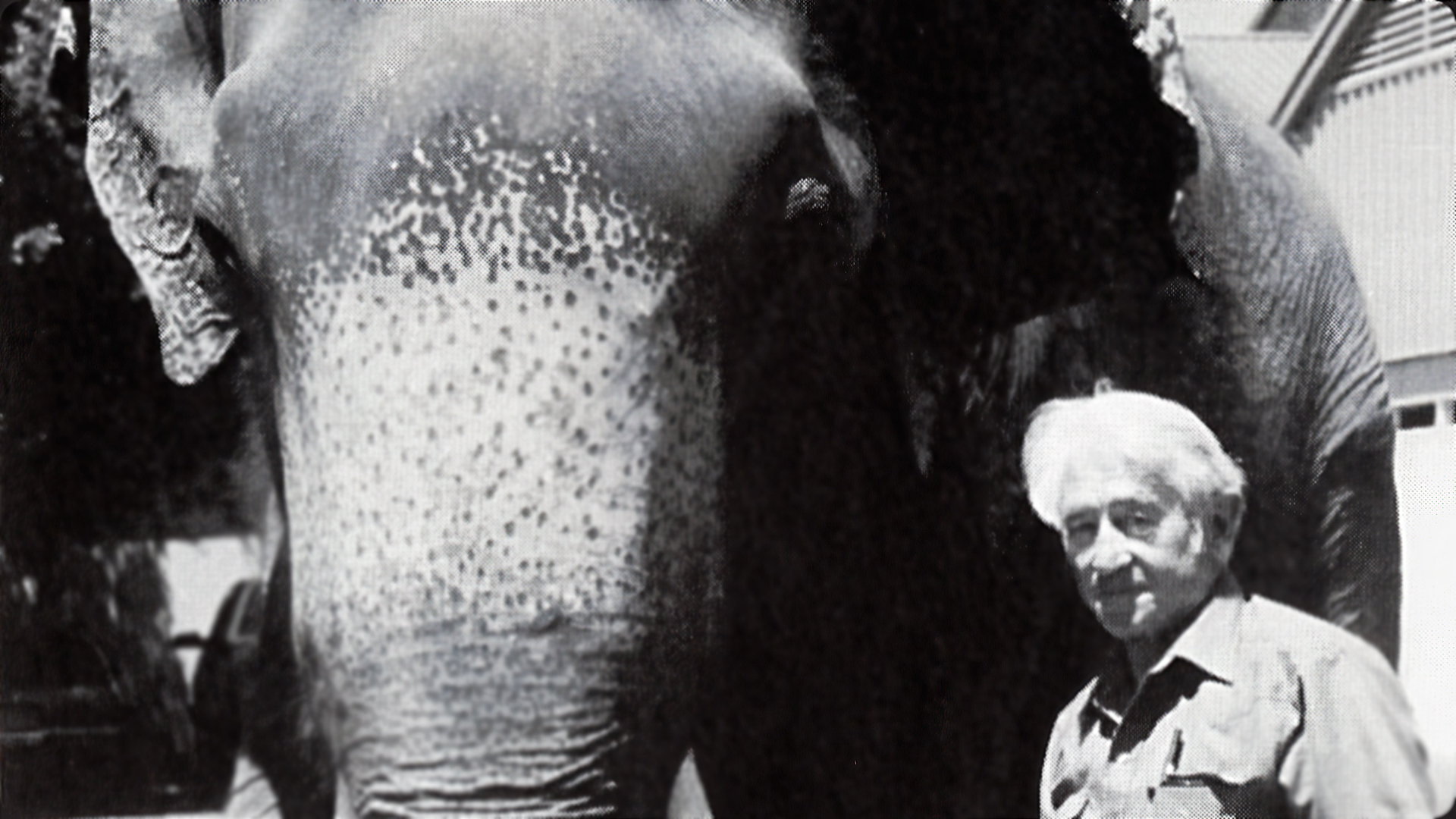 Murray E. Fowler Interview | Zoo & Aquarium Video Archive