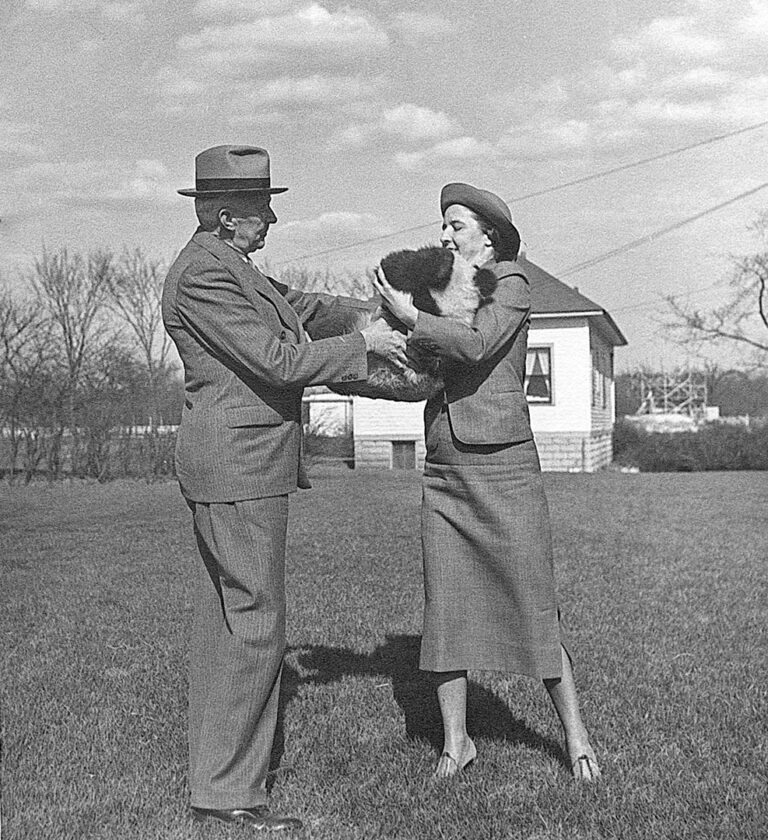 Brookfield Zoo Gallery | Zoo & Aquarium Video Archive