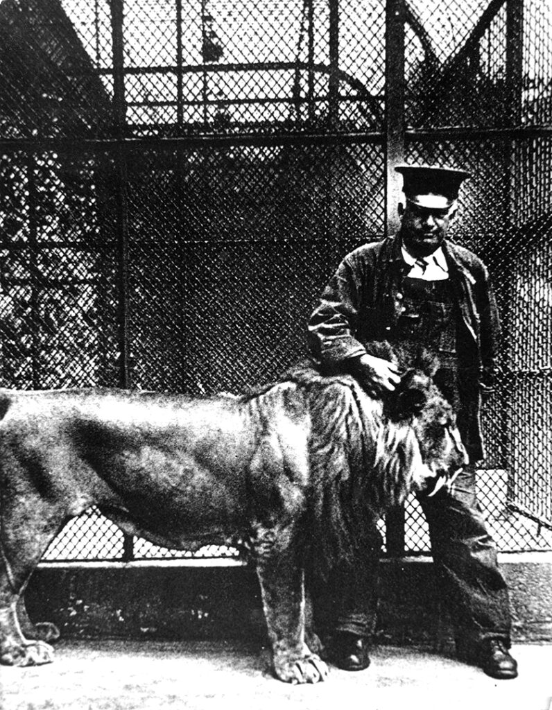 Milwaukee Zoo Gallery | Zoo & Aquarium Video Archive