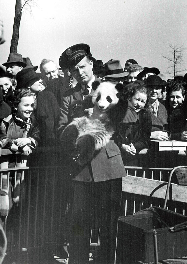 Brookfield Zoo Gallery | Zoo & Aquarium Video Archive