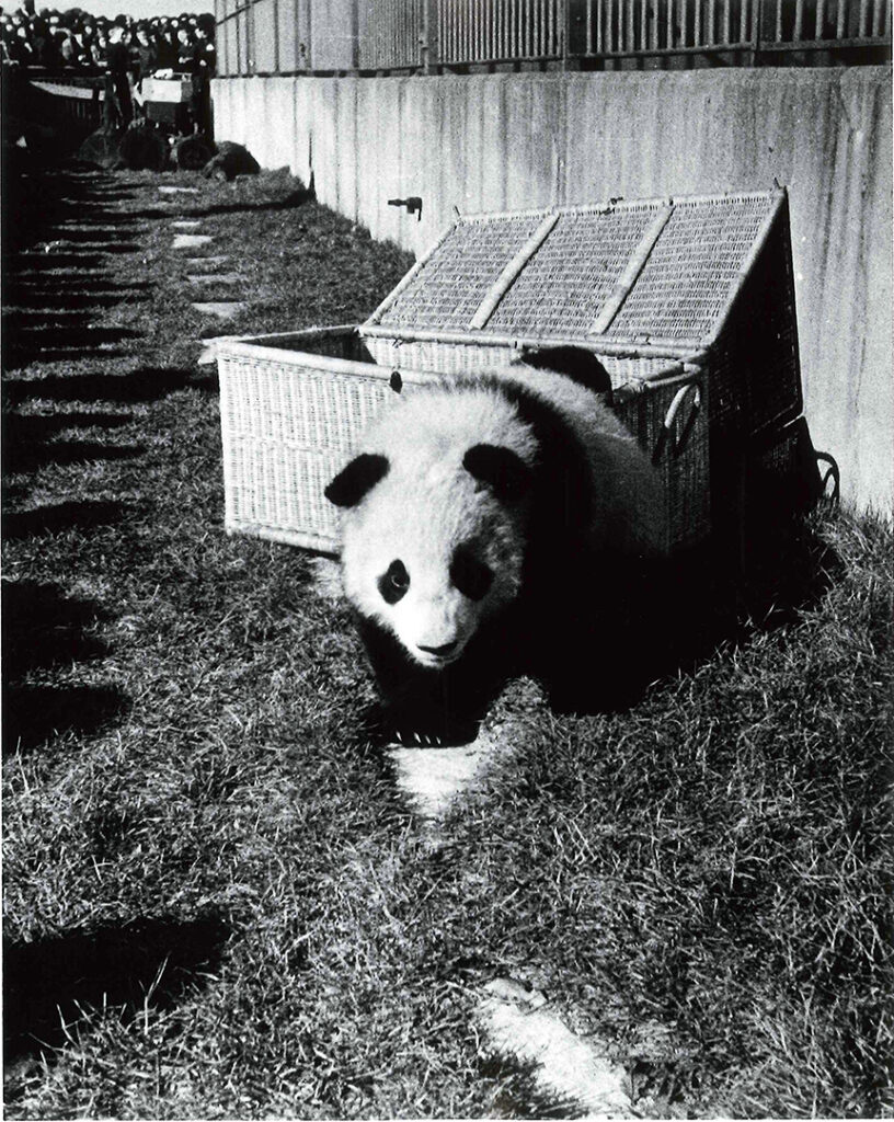 Brookfield Zoo Gallery | Zoo & Aquarium Video Archive