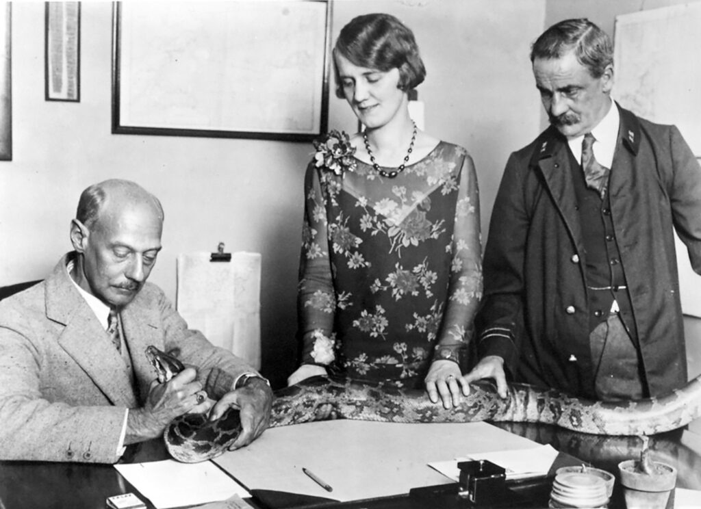 Bronx Zoo Gallery | Zoo & Aquarium Video Archive