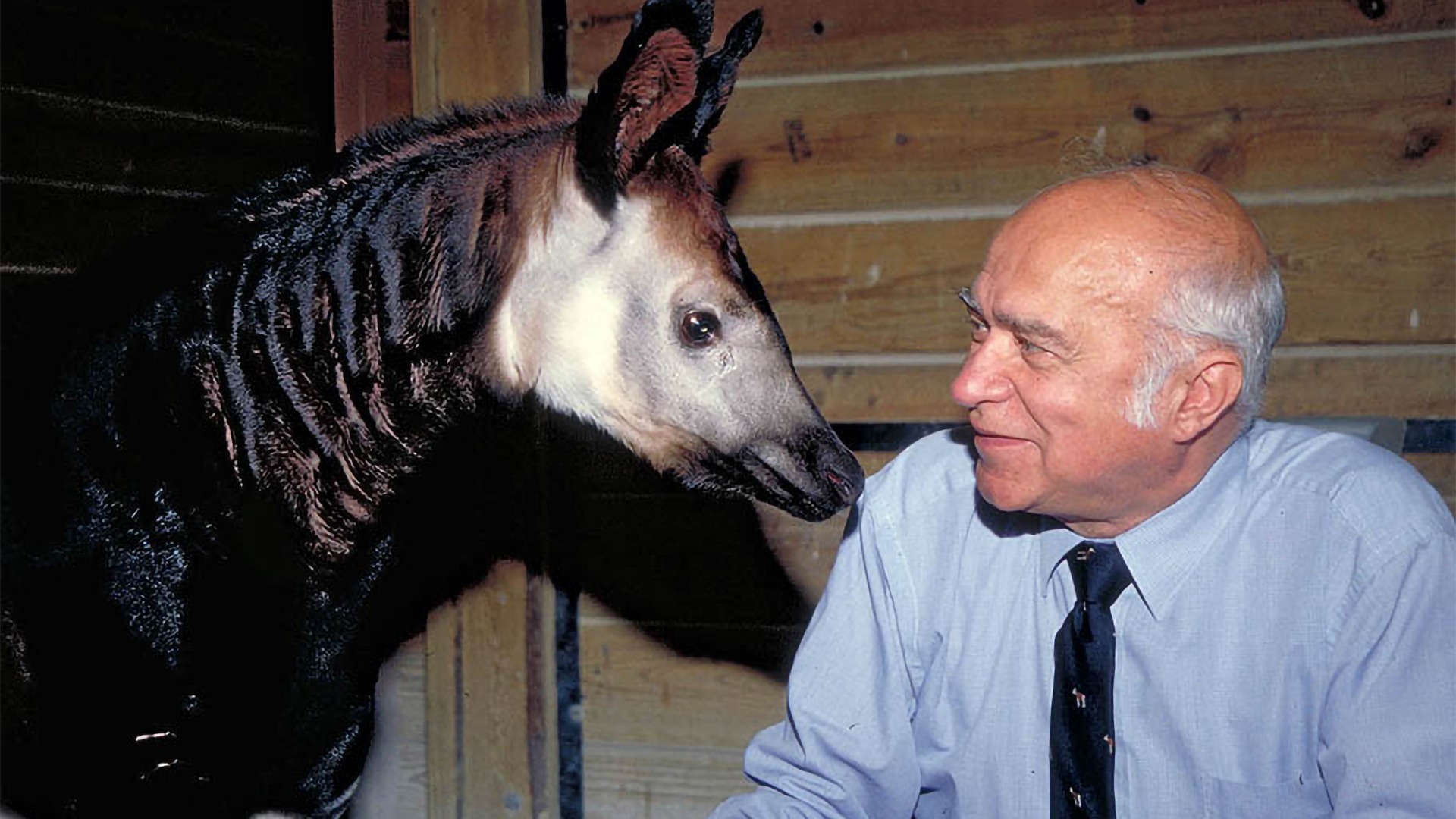 George Rabb Interview | Zoo & Aquarium Video Archive