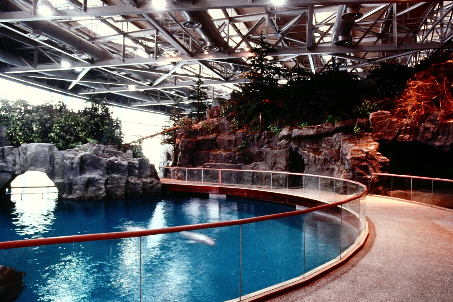 Shedd Aquarium Gallery | Zoo & Aquarium Video Archive