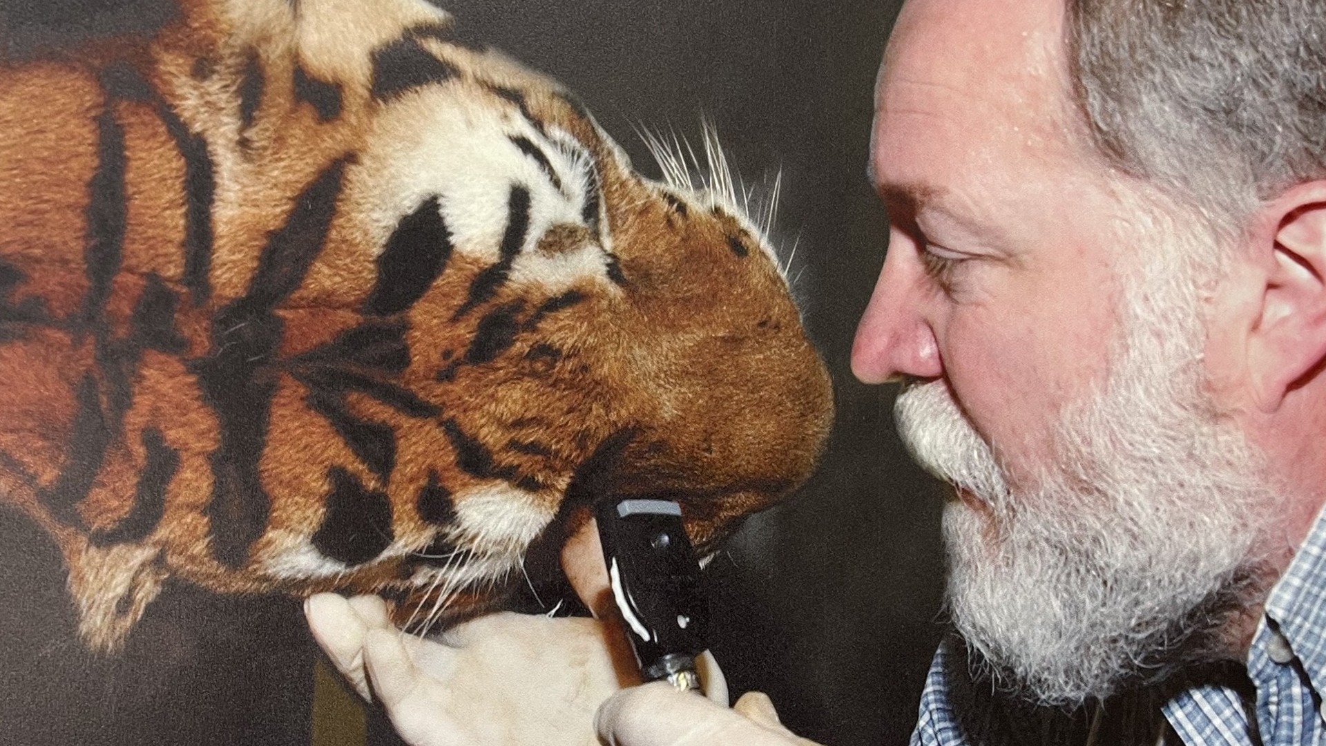 Tom Meehan, DVM Interview | Zoo & Aquarium Video Archive